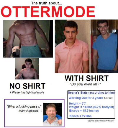 Bear Mode Vs Ottermode